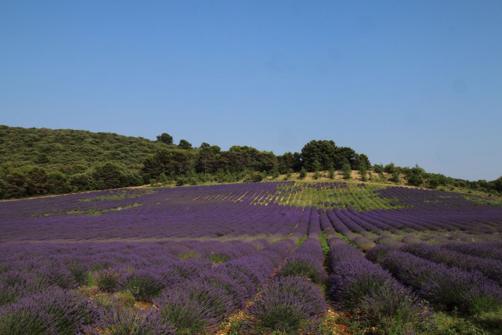 Archives des Geen onderdeel van een categorie - Camping Terra Verdon